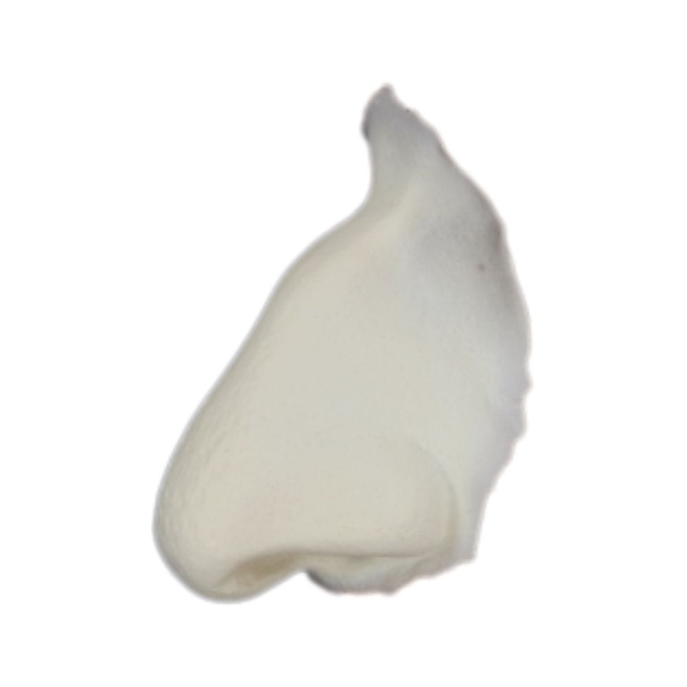 Rubber Wear Character Nose #2 FRW-110 — Frends Beauty