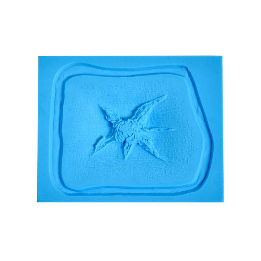 Prosthetic Molds | SFX Prosthetic Wounds | Specialty SFX Supplies ...
