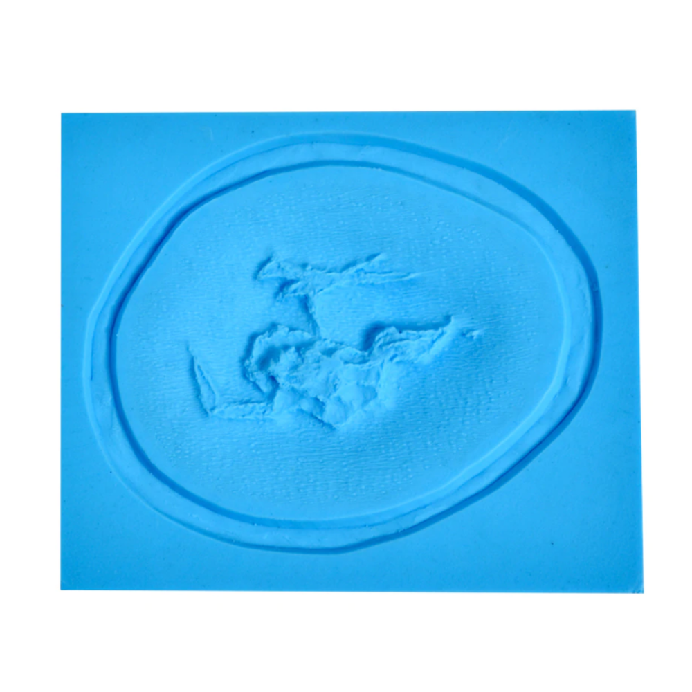 P.T.M. Platinum Silicone Hi-Ro Slip Molds Ruptured Exit Wound Mold ...